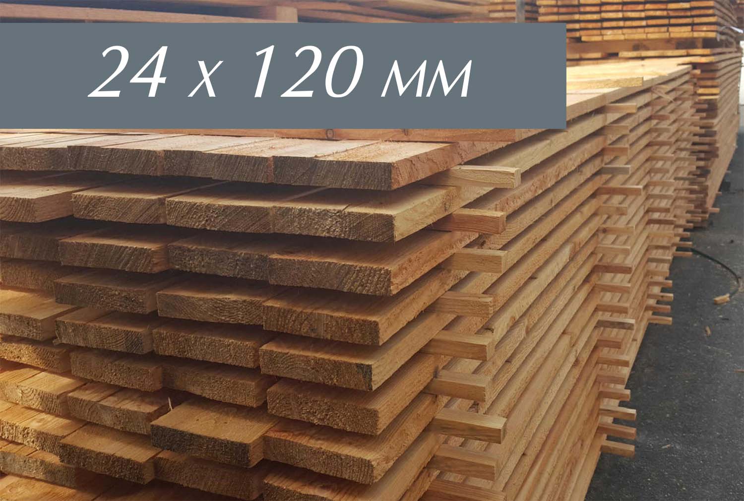 24x120 mm Lärchenbretter frisch - Bretter & Bohlen - Luhmann Holzhandel ...